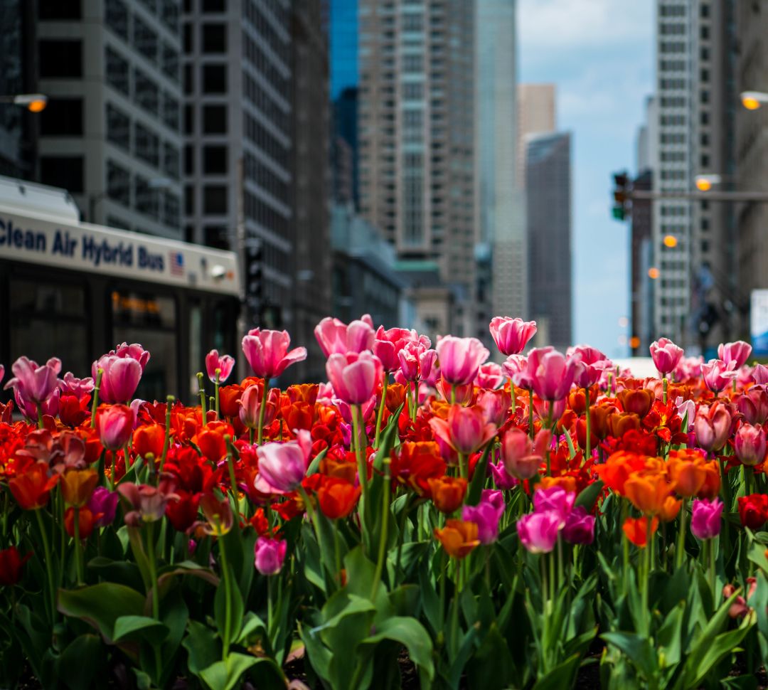 Seasonal Activities | Hilton Chicago