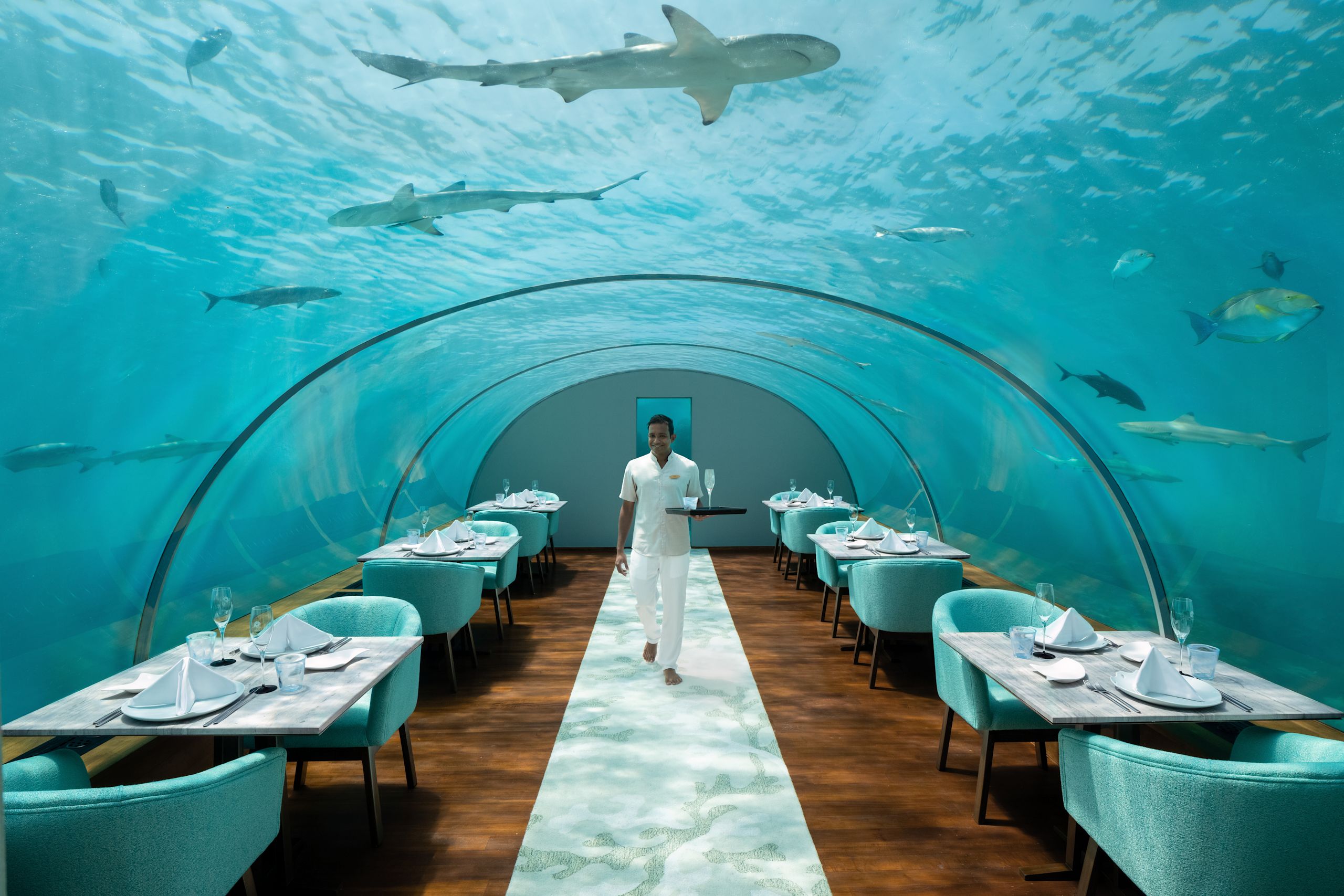Ithaa Undersea Restaurant | Conrad Maldives Rangali Island