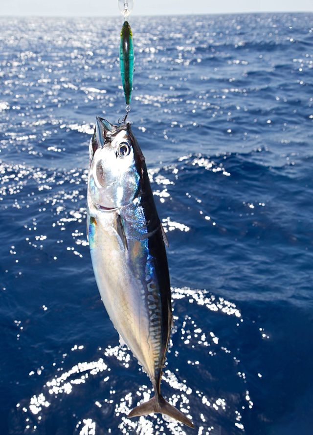 Dining | DoubleTree by Hilton Seoul Pangyo