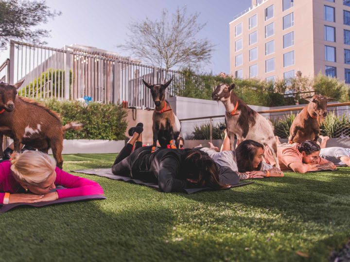 Things to Do in Downtown LA | Conrad Los Angeles Hotel