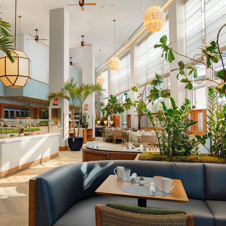 Palmea Kitchen | Signia by Hilton Diplomat Beach Resort
