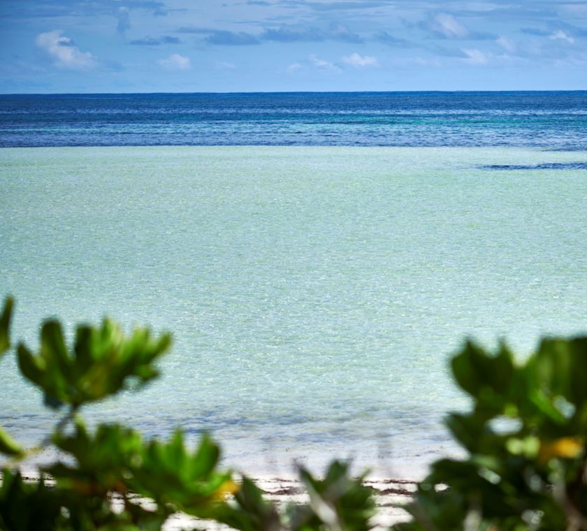 Things to Do | Waldorf Astoria Seychelles Platte Island