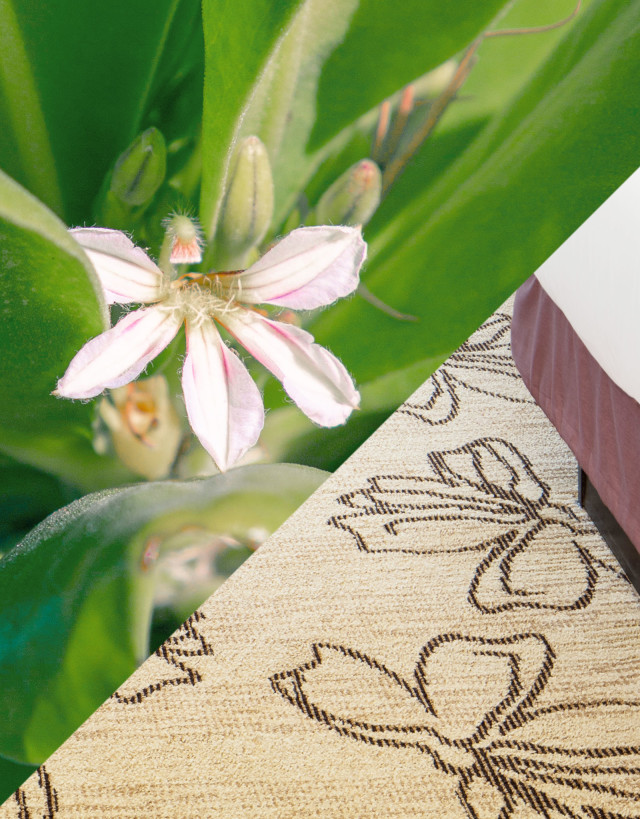 Makai | Hilton Waikoloa Village Hawaii Resort