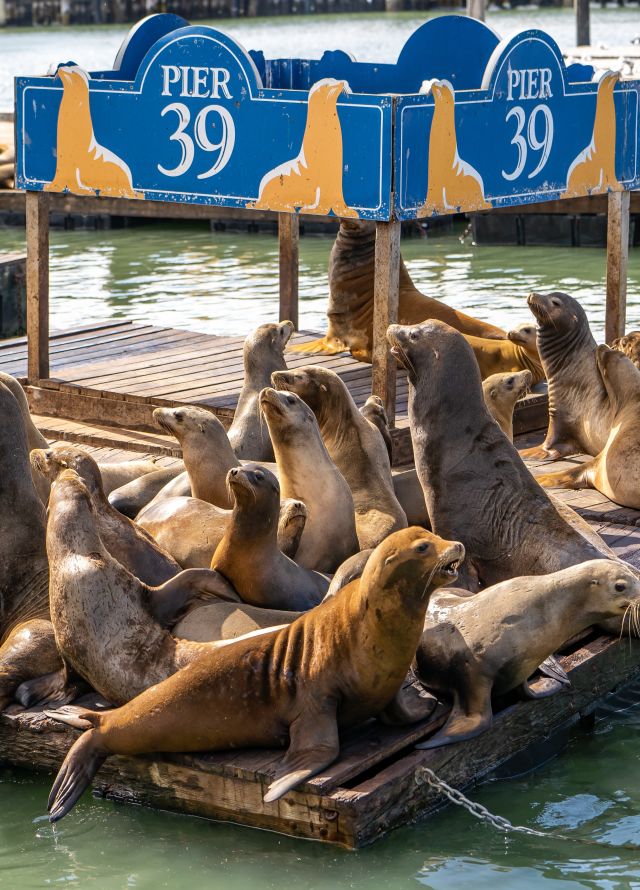 Location | Parc 55 San Francisco – A Hilton Hotel